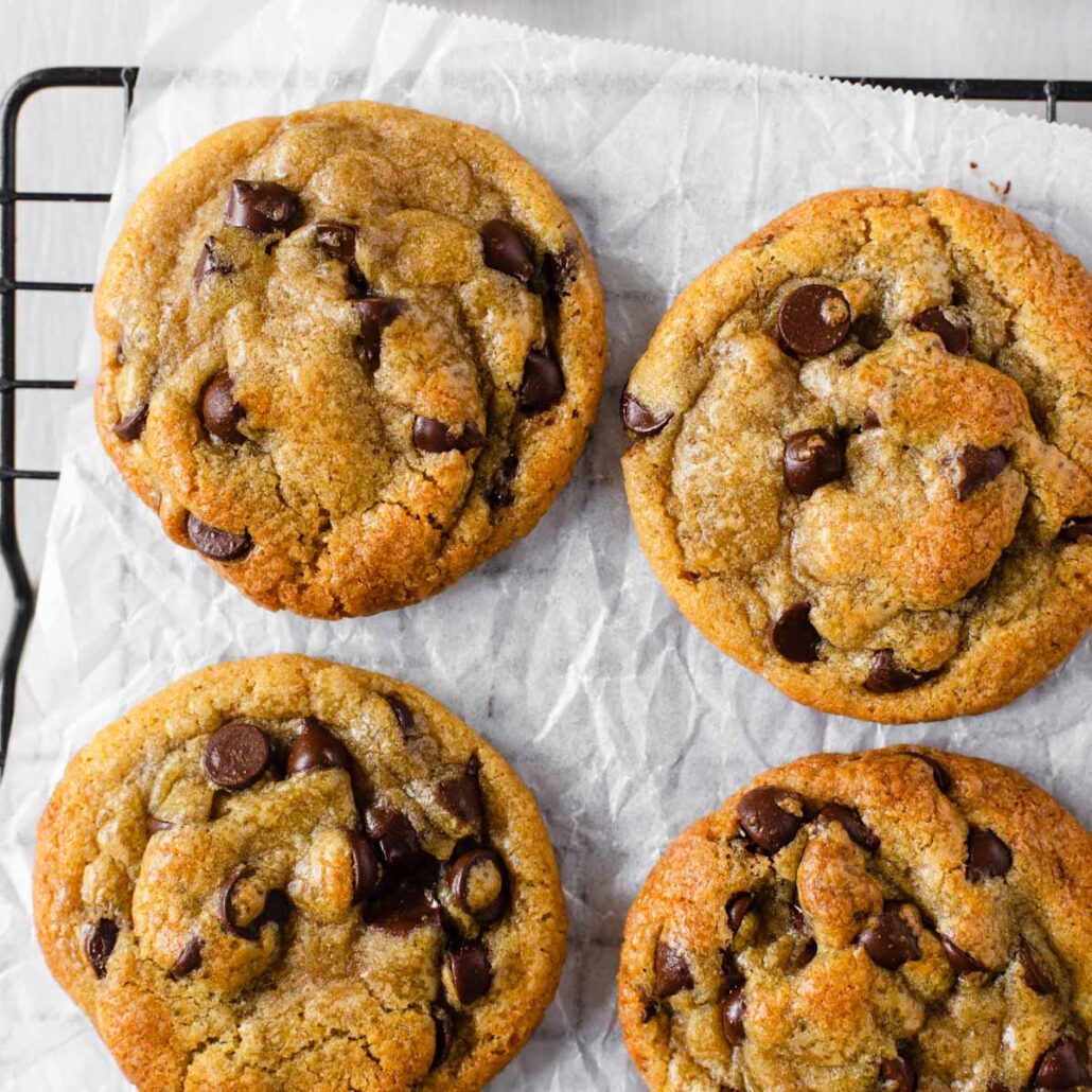 What Is Milo? - Wholesome Patisserie